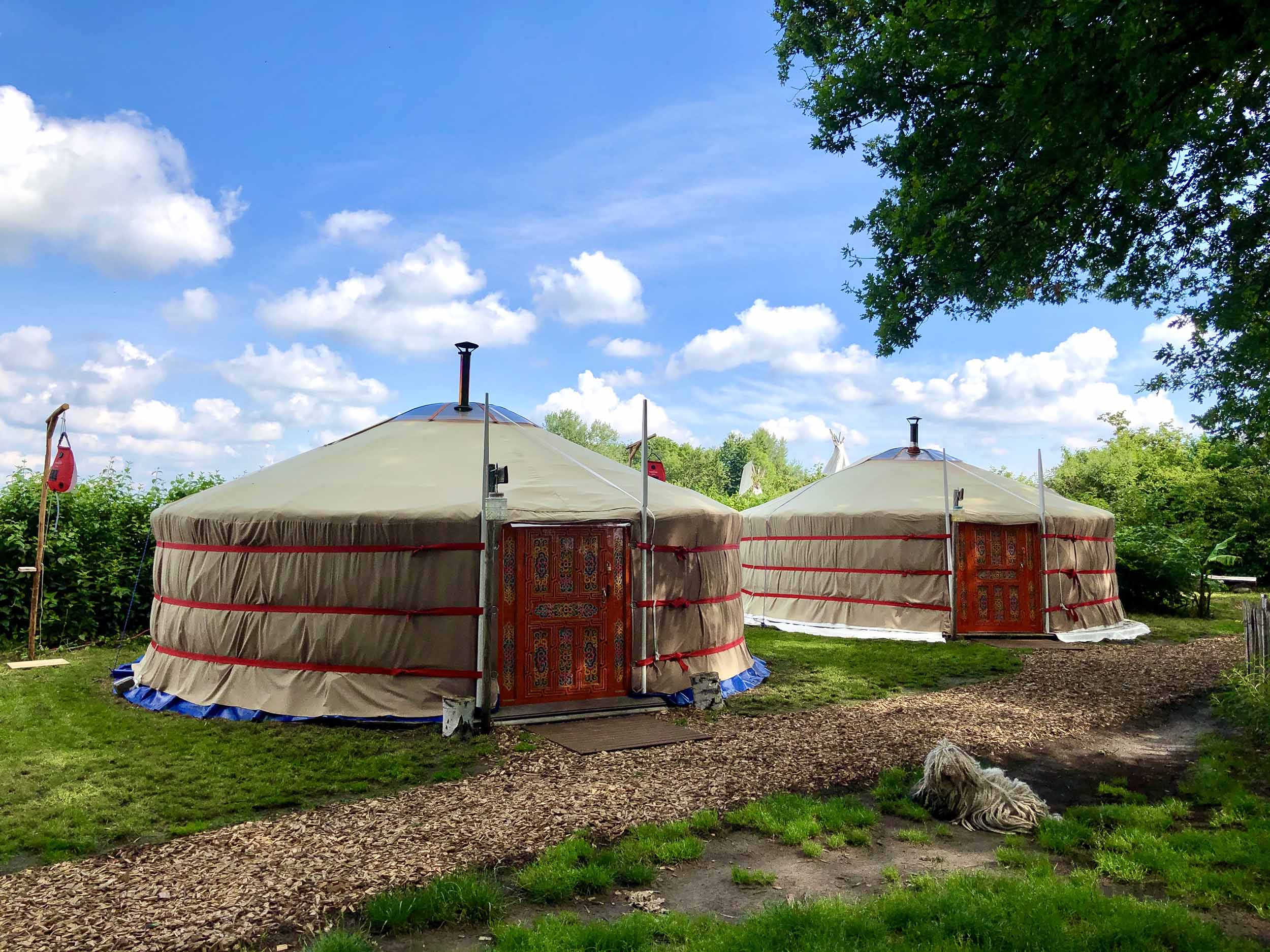 Origineel overnachten in een Mongoolse Yurt